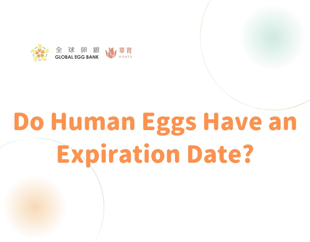 Do Human Eggs Have an Expiration Date? | 華育婦產科診所HUAYU