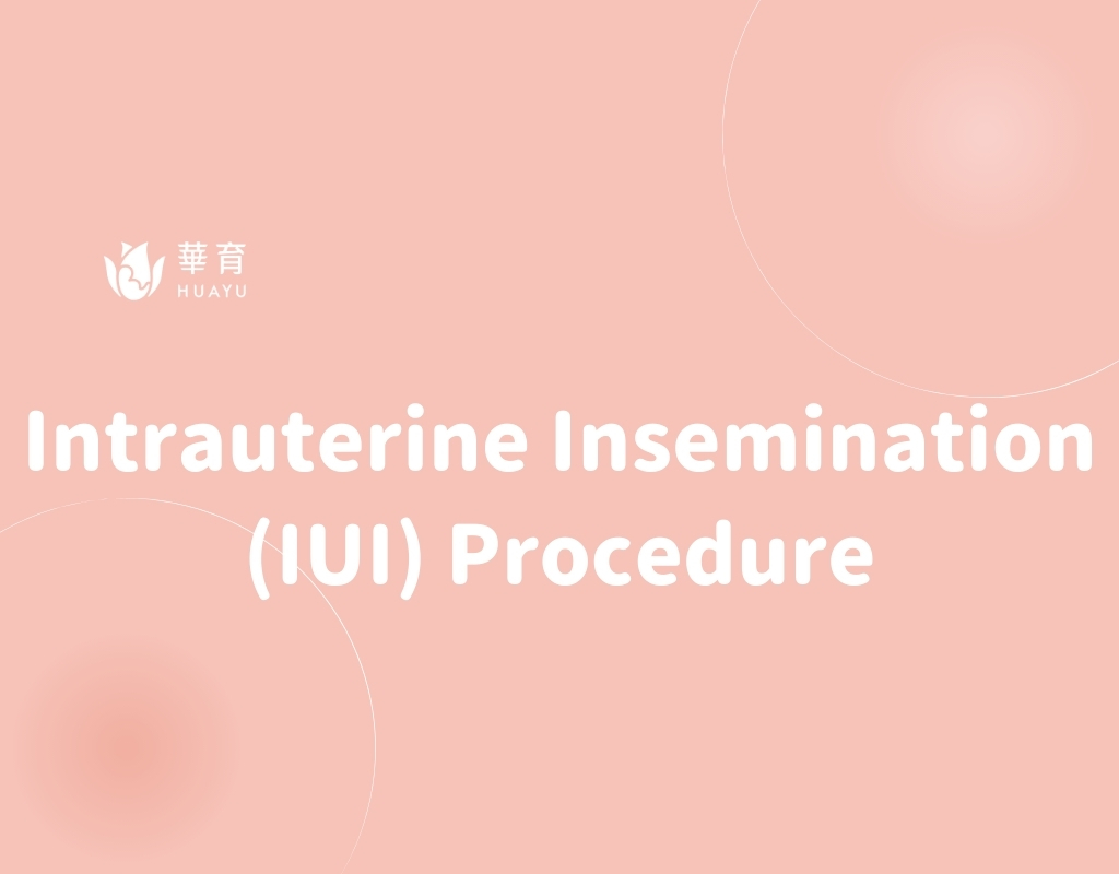 IUI Procedure Overview | 華育婦產科診所HUAYU