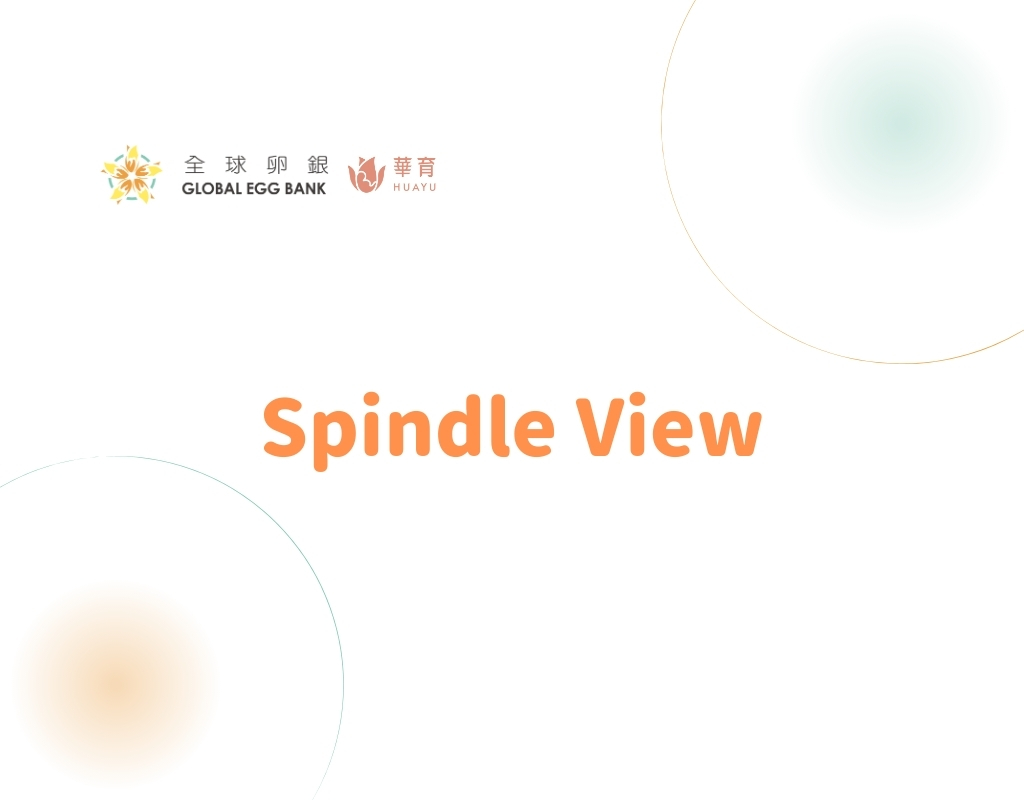 Spindle View｜Oocyte Spindle Positioning Technology | 華育婦產科診所HUAYU